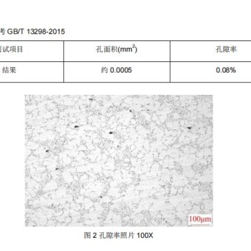 Analysis of Porosity Defects in Aluminum